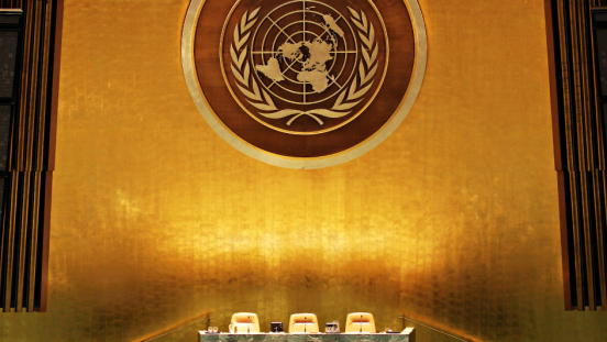 UNU-EHS | United Nations University