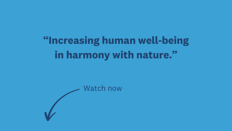 What are Nature-based Solutions (NbS)? | United Nations University