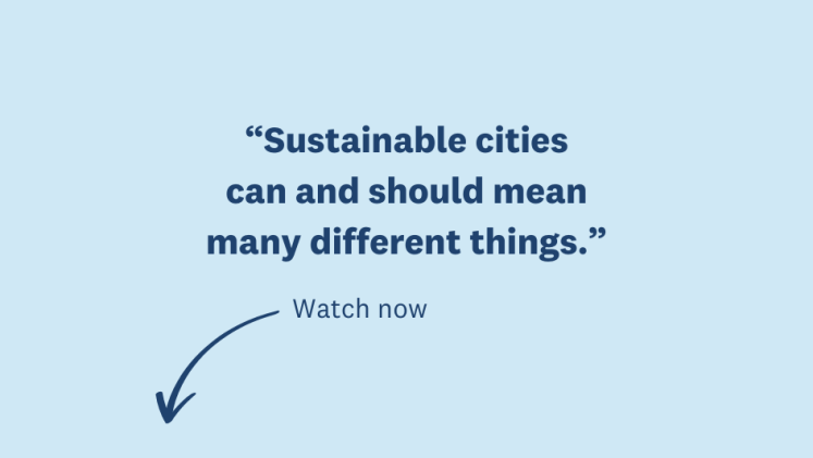 What are sustainable cities? | United Nations University