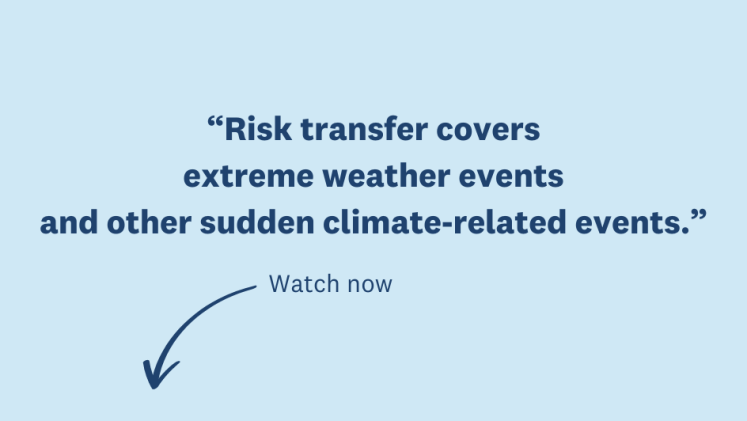 What is climate risk insurance? | United Nations University