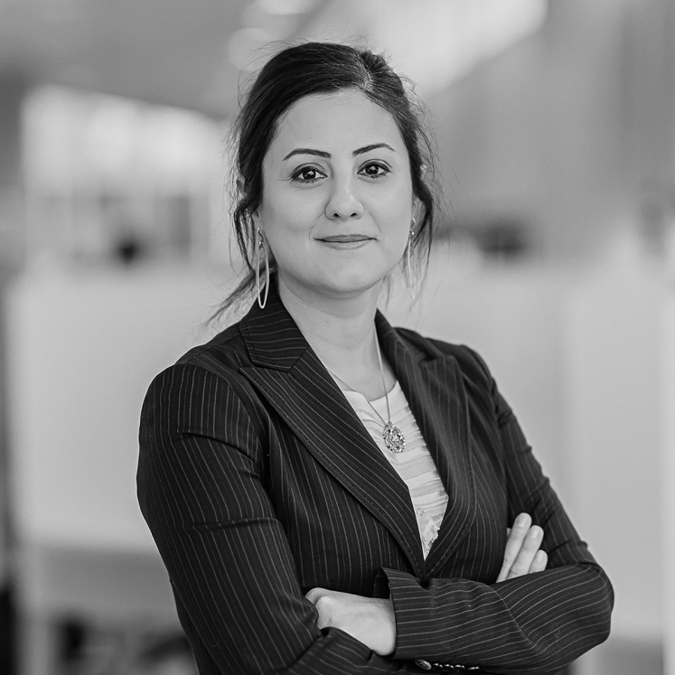 pooneh-1200-bw.png | United Nations University