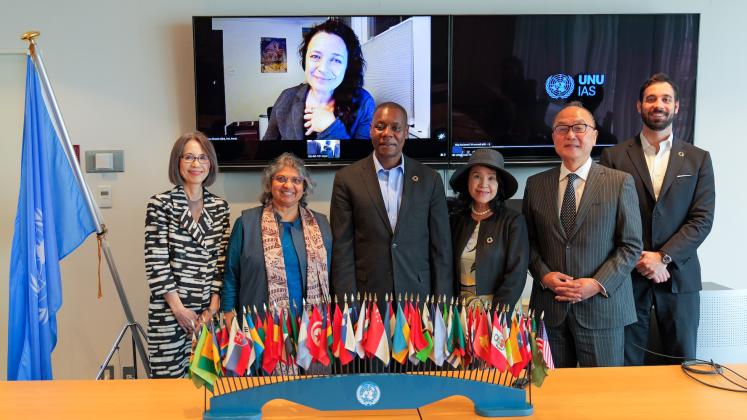 UNU-IAS Advisory Board Convenes for 2024 Meeting | United Nations ...