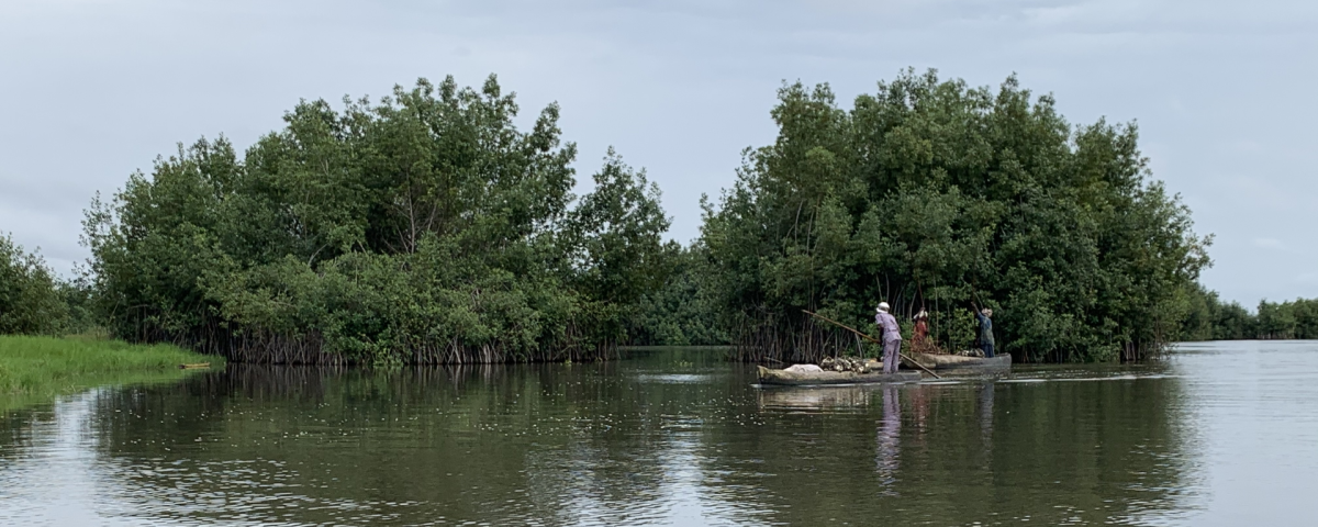 Ecosystems for Sustainability | United Nations University