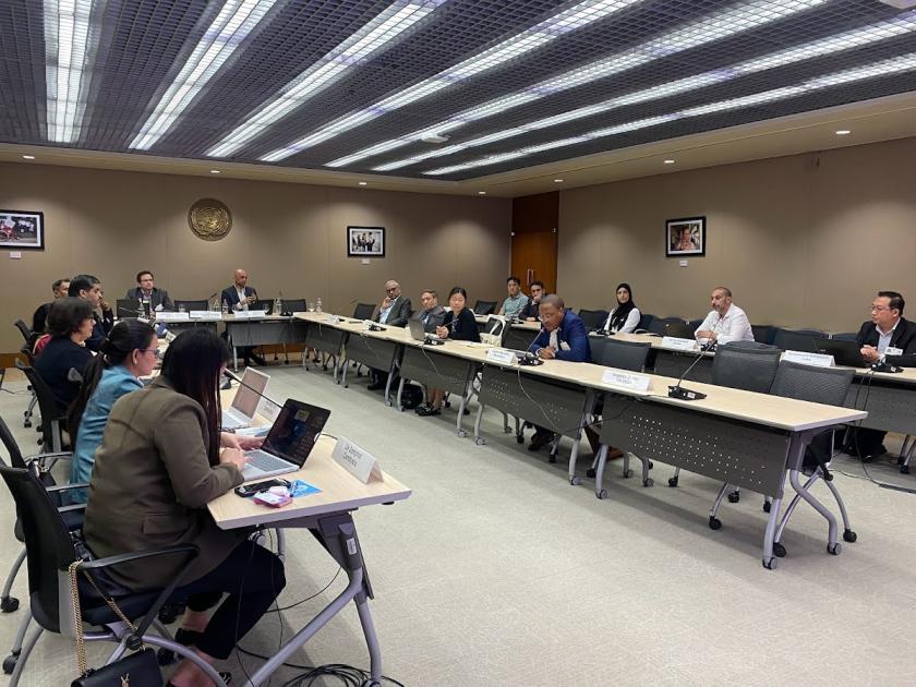 Capacity Building Workshop UNDESA: Strengthening National Capacities ...