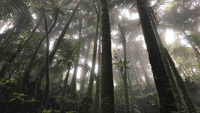 What is the Nexus Approach | United Nations University