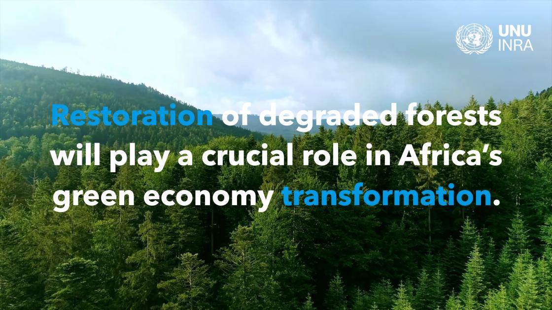 Reducing Deforestation: International Day of Forests 2024 | United ...