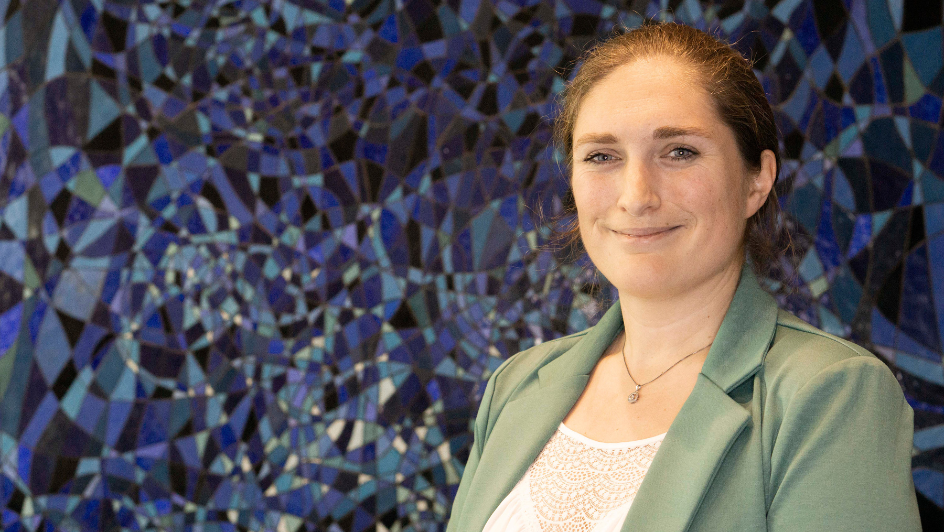 The UNFCCC – UNU Early Career Climate Fellowship Programme: A ...