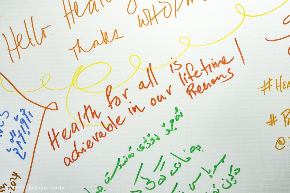 UNU-IIGH presents new work on Power and Accountability with webinar and ...
