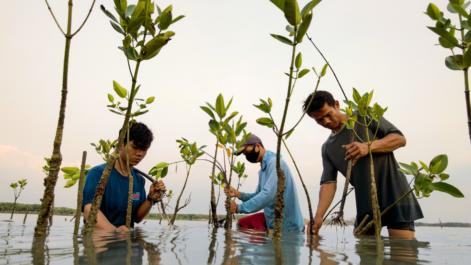 5 Tools for Nature-Based Solutions in Disaster and Climate Risk ...