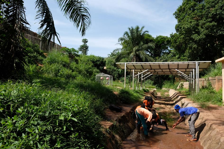 Frontier Research | United Nations University