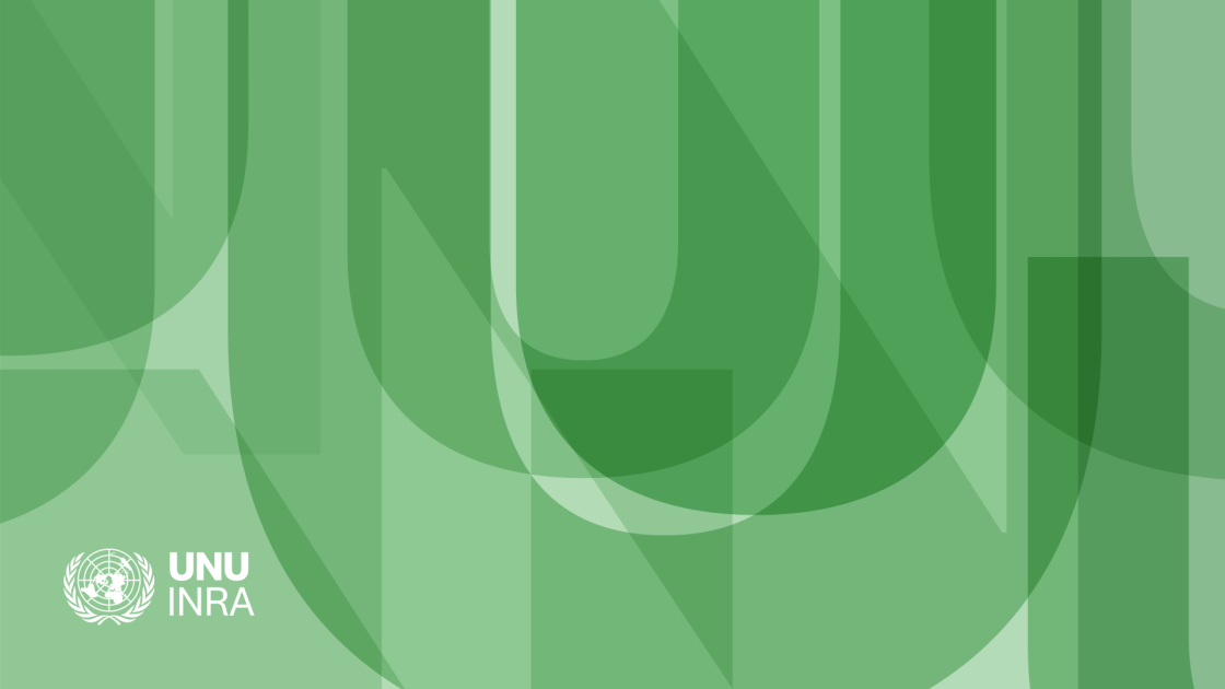 Our Work | United Nations University