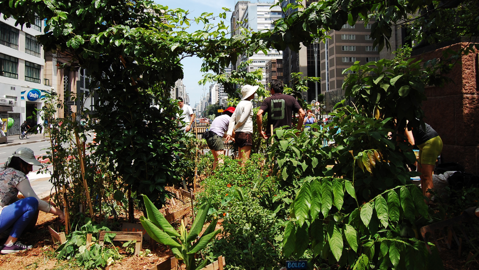 5 Highlights of Sustainable Urban Land Restoration | United Nations ...