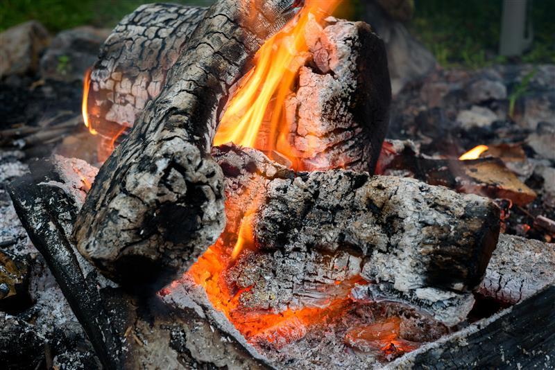 How UNIFOODS charcoal Namibia turns invasive bush species into wealth ...