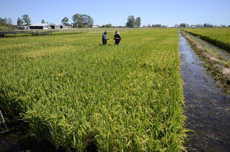 Societies in Harmony with Nature: Building Sustainable and Resilient ...