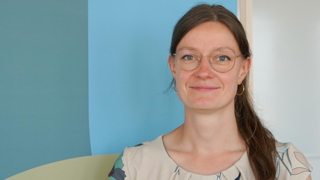 Advancing Organizational Sustainability: Experiences and Insights from ...