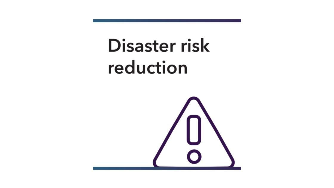 Disaster risk reduction | United Nations University