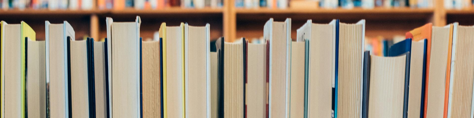 PhD Fellowship | United Nations University